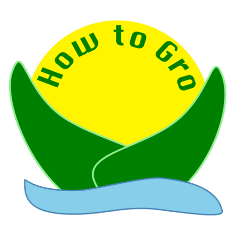 A Beginner's Guide to Rotational Grazing: Healthier Land, Healthier ...