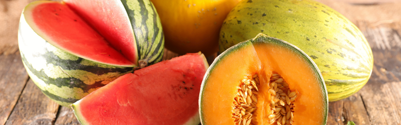 How To Melon - How To Gro